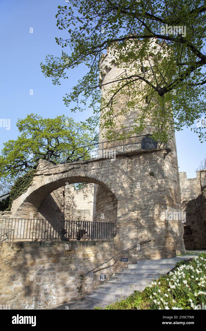 Powder Tower Jena Stock Photo - Alamy