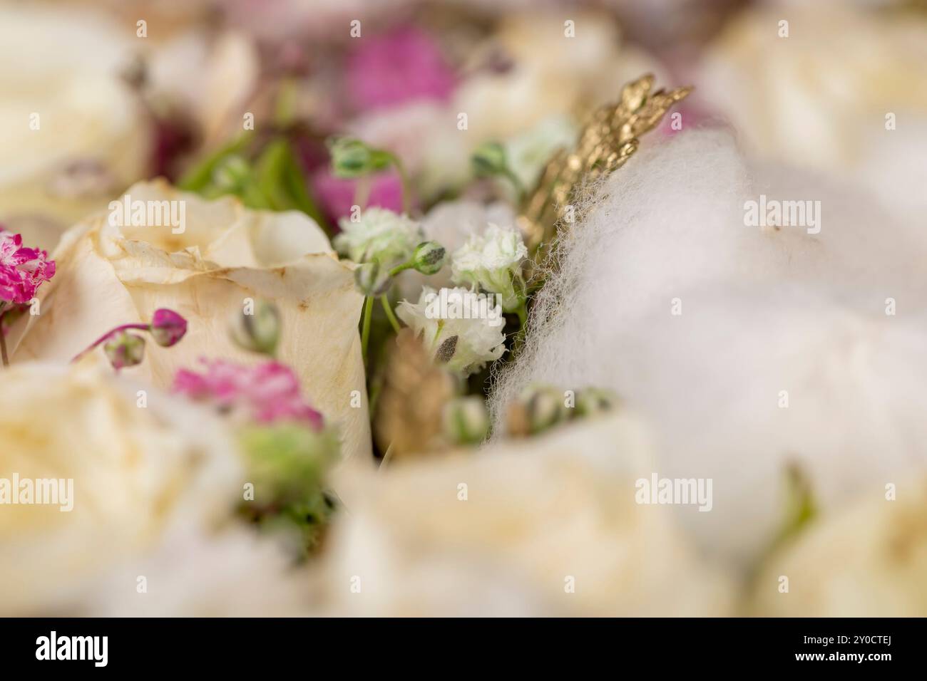 A composition of different types of flowers for a gift, a combination ...