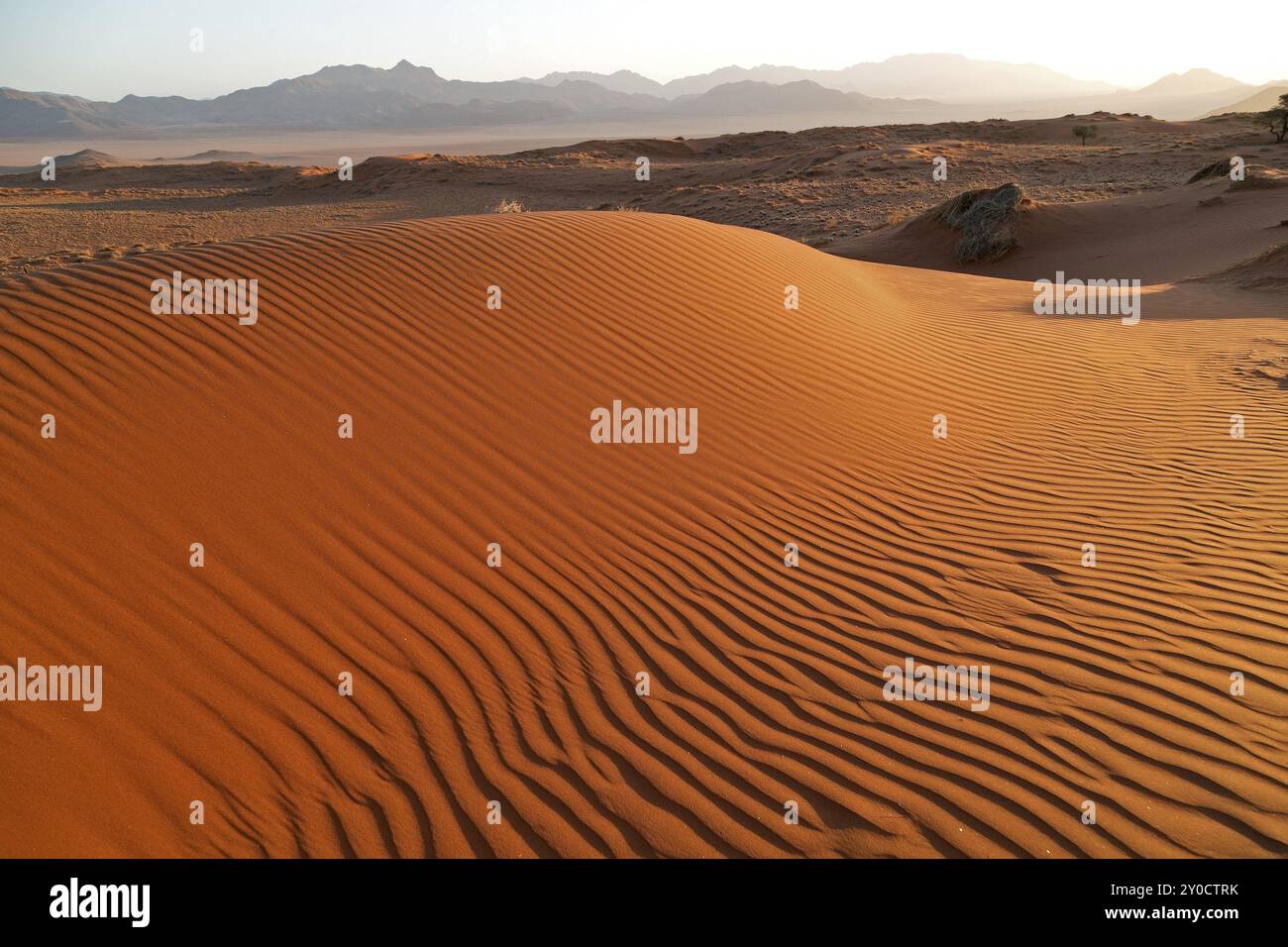 NamibRand Nature Reserve in Namibia Stock Photo - Alamy