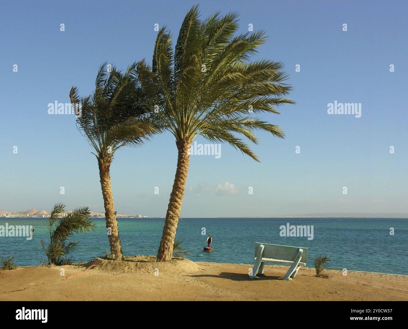 Seating area under trees hi-res stock photography and images - Alamy