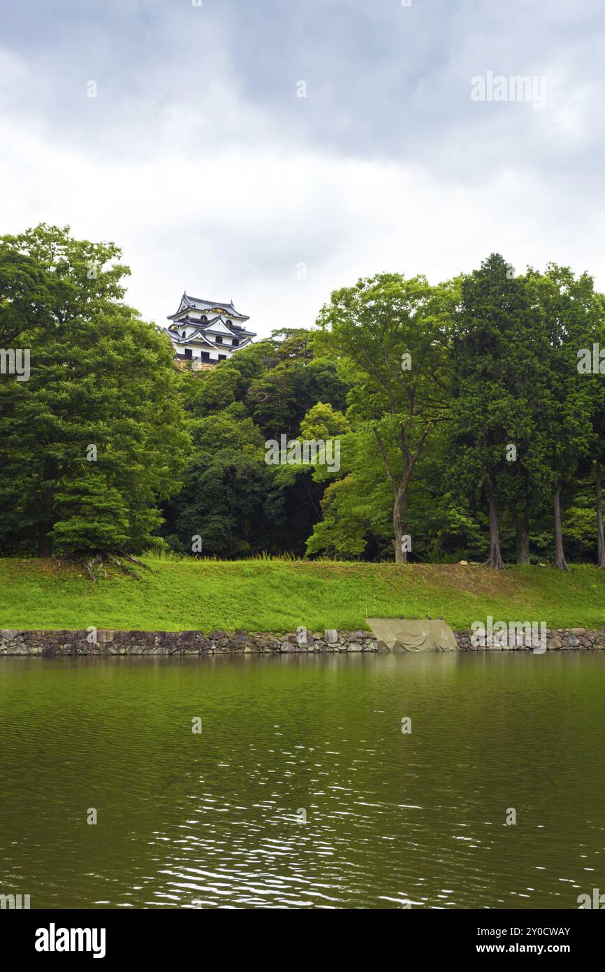 Hikone-jo castle at a distance above the treeline and surrounding moat ...