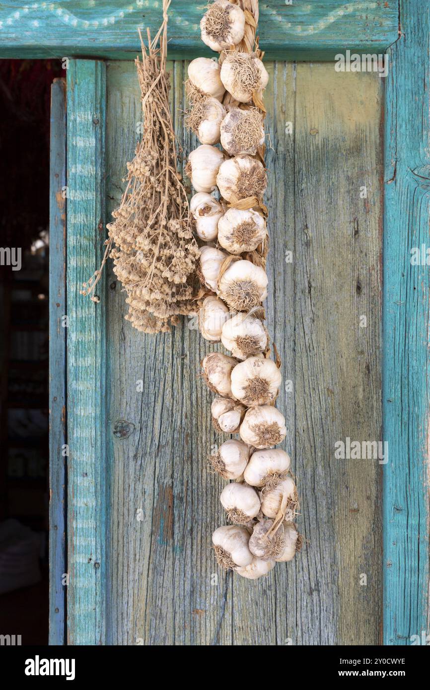 Garlic bulbs braided into a plait, hanging Stock Photo - Alamy