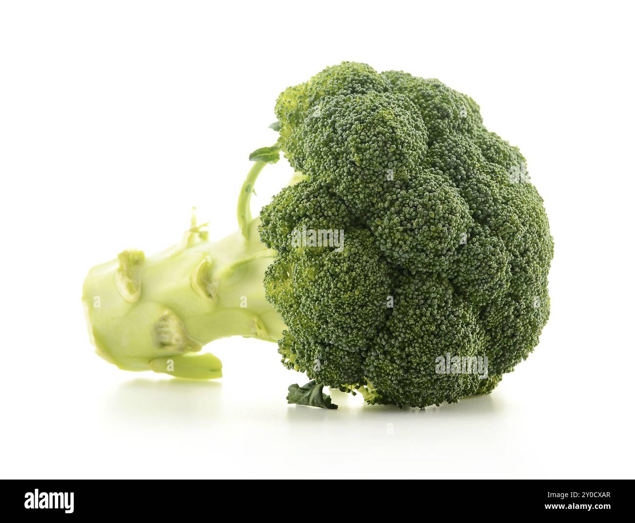 Broccoli single objects vegetables hi-res stock photography and images ...