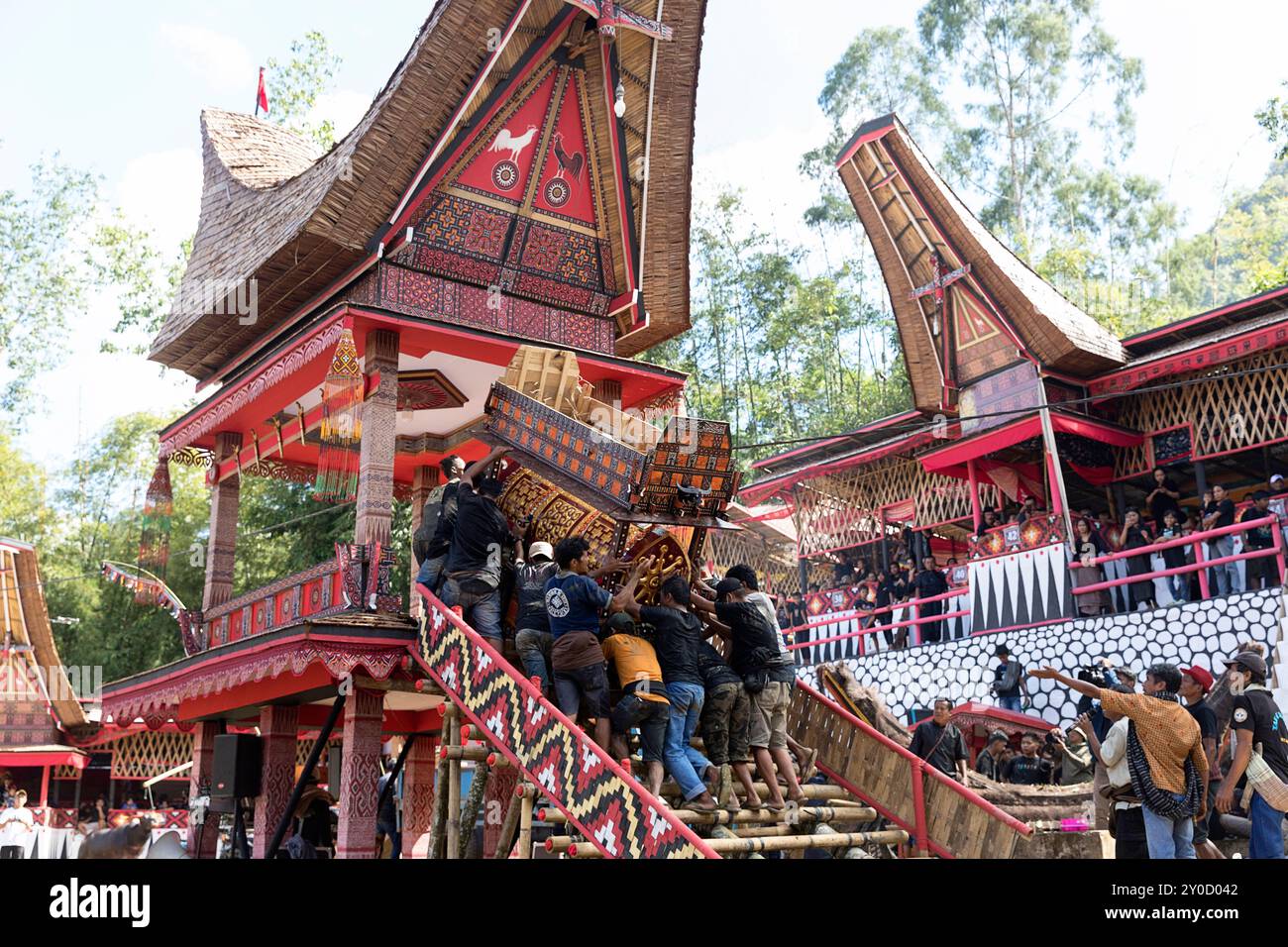 Scenes from traditional tana toraja funeral ceremony, people dancing ...