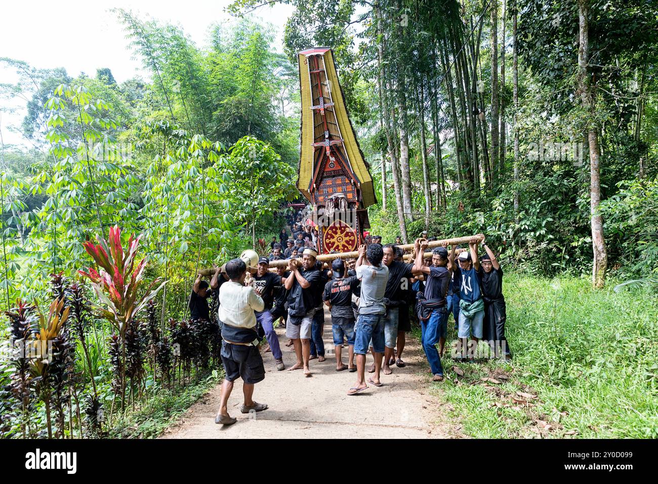 Funeral procession in a village close to Rantepao in Tana Toraja, local ...