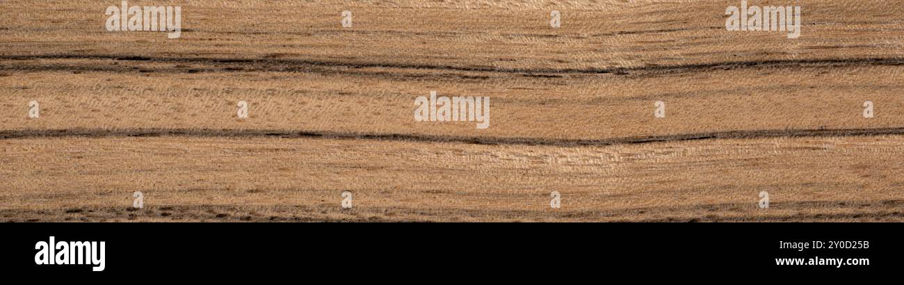 Paldao veneer with pronounced stripes and rich wood texture Stock Photo ...