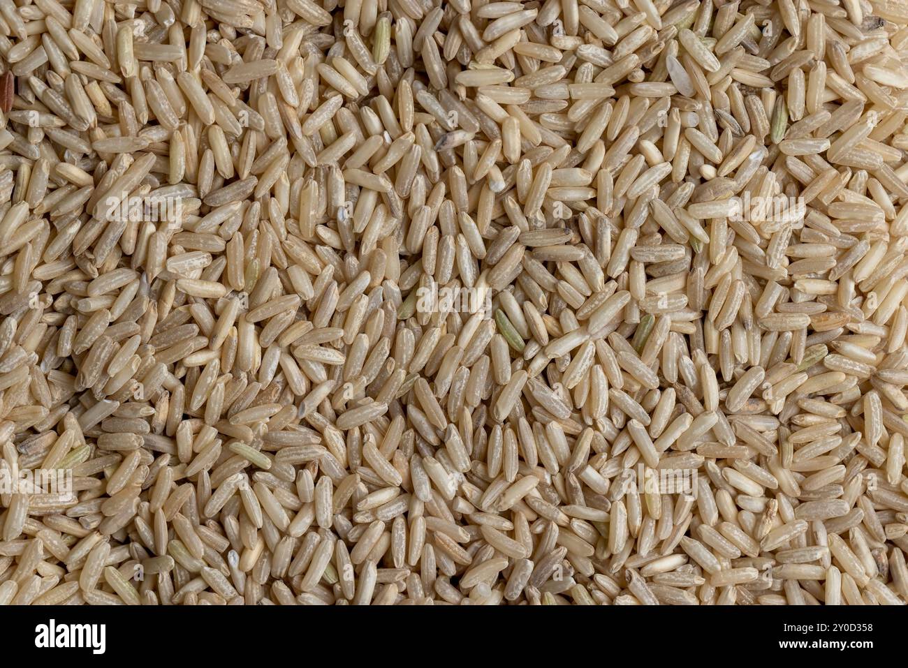 Natural brown rice for cooking healthy food, minimal processing of rice ...