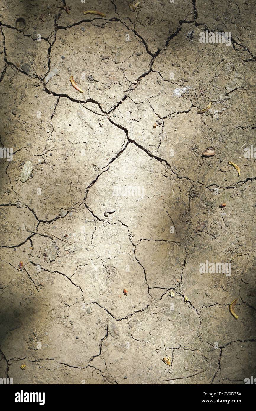 Cracked earth dust and dirt caused by drought Stock Photo - Alamy