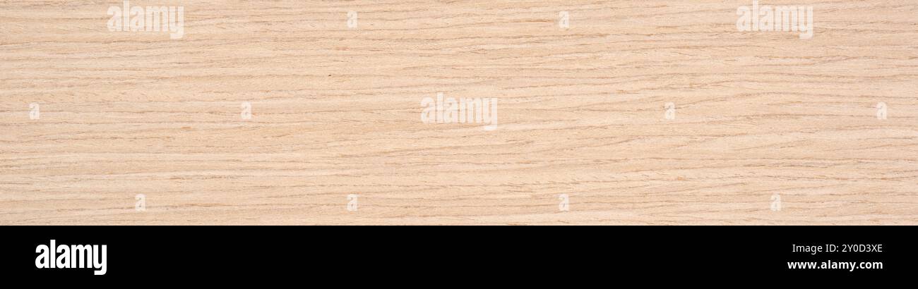 A harmonious blend of sandy beige and soft golden hues across a smooth ...