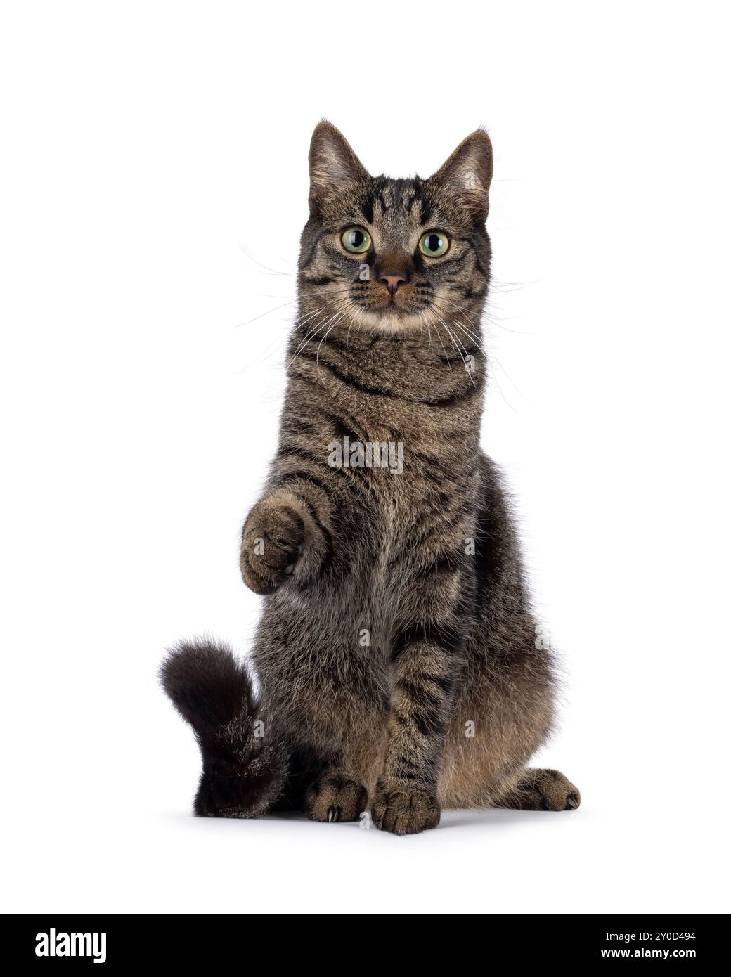 Non straight Cut Out Stock Images & Pictures - Alamy