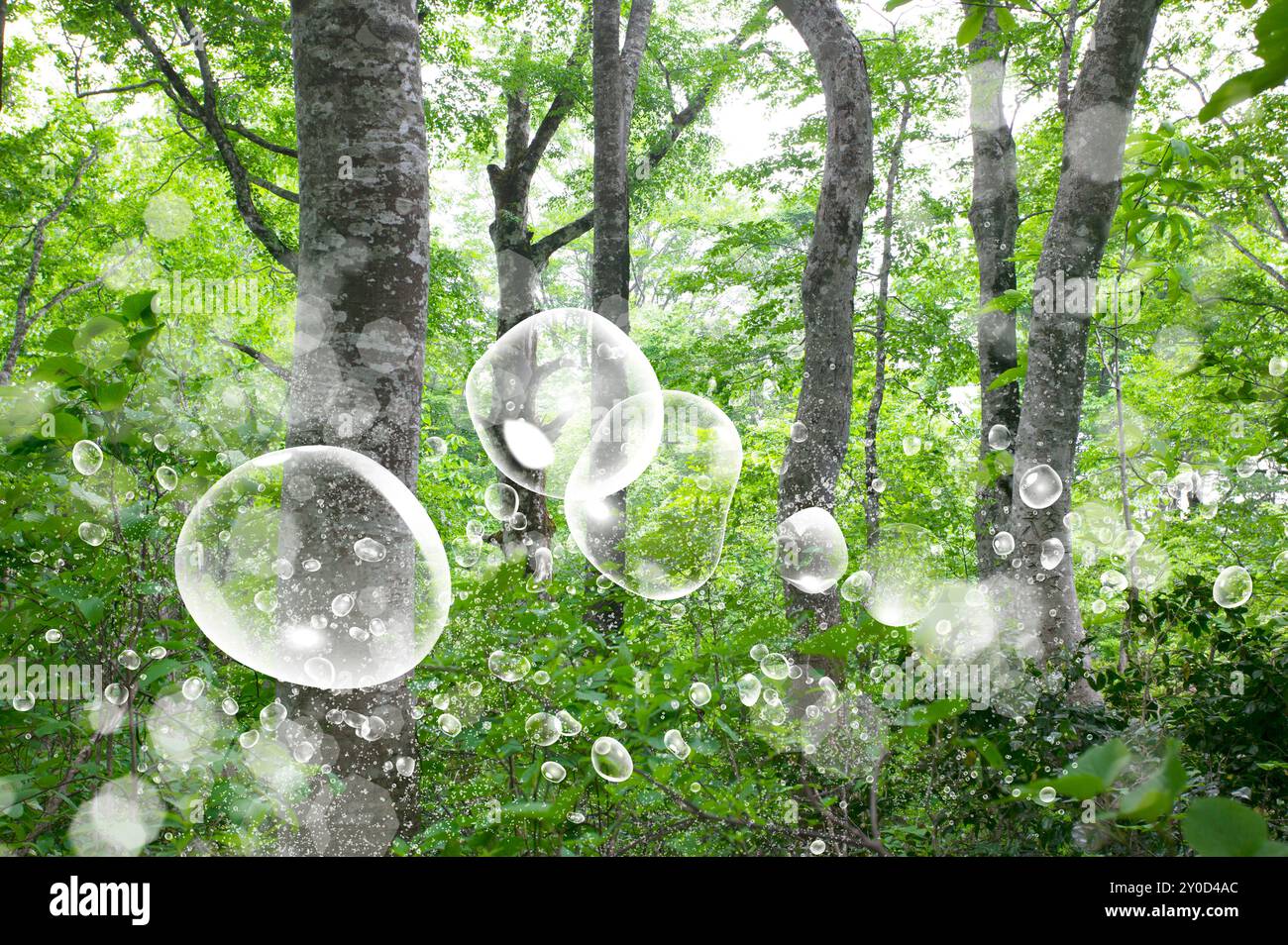 Bubbles and a grove of trees Stock Photo - Alamy