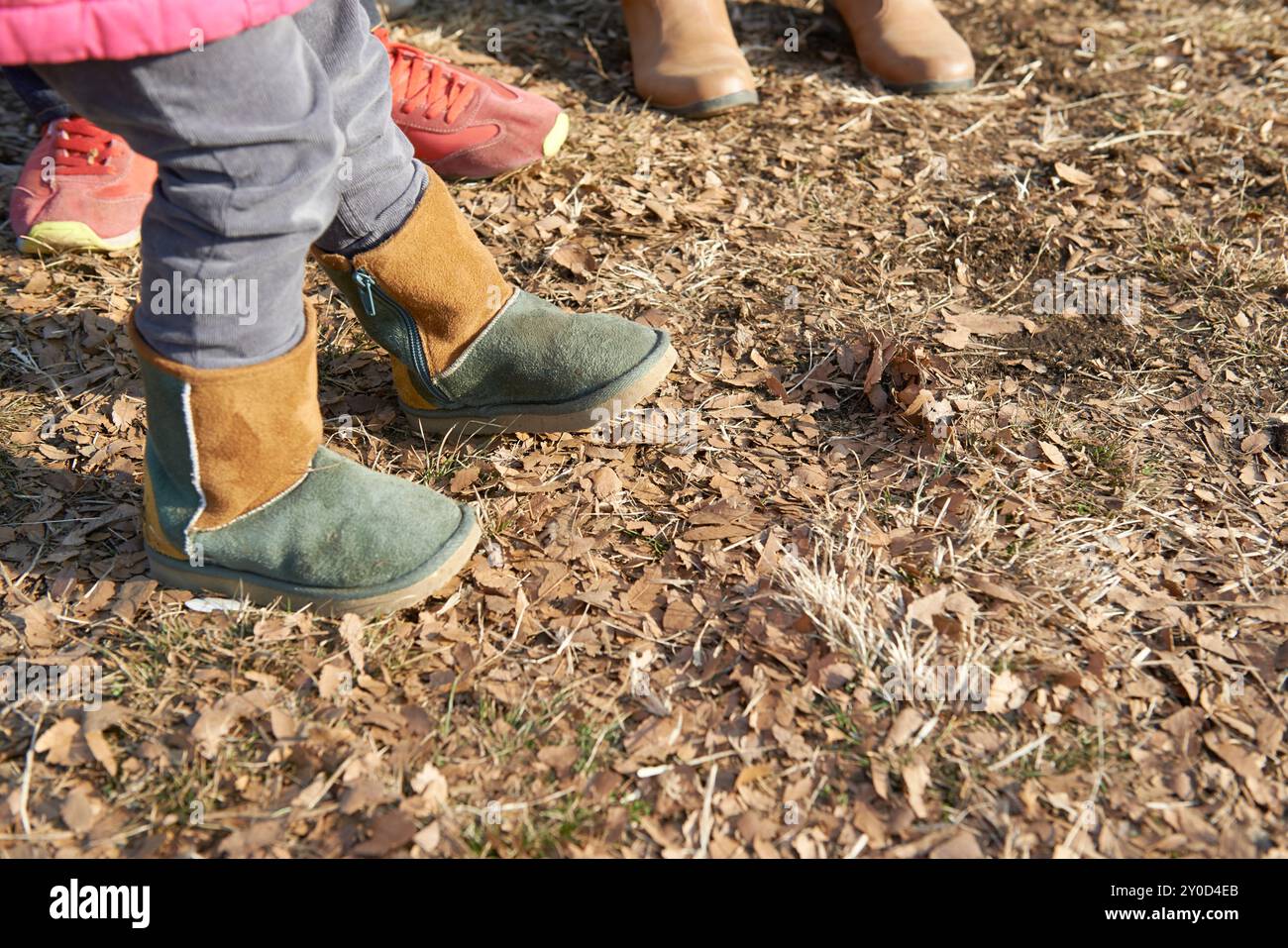 Fallen leaves and the legs of child and mother Stock Photo - Alamy