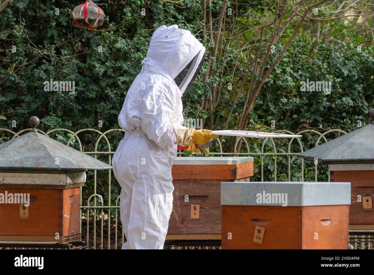 Beehive management tools hi-res stock photography and images - Alamy