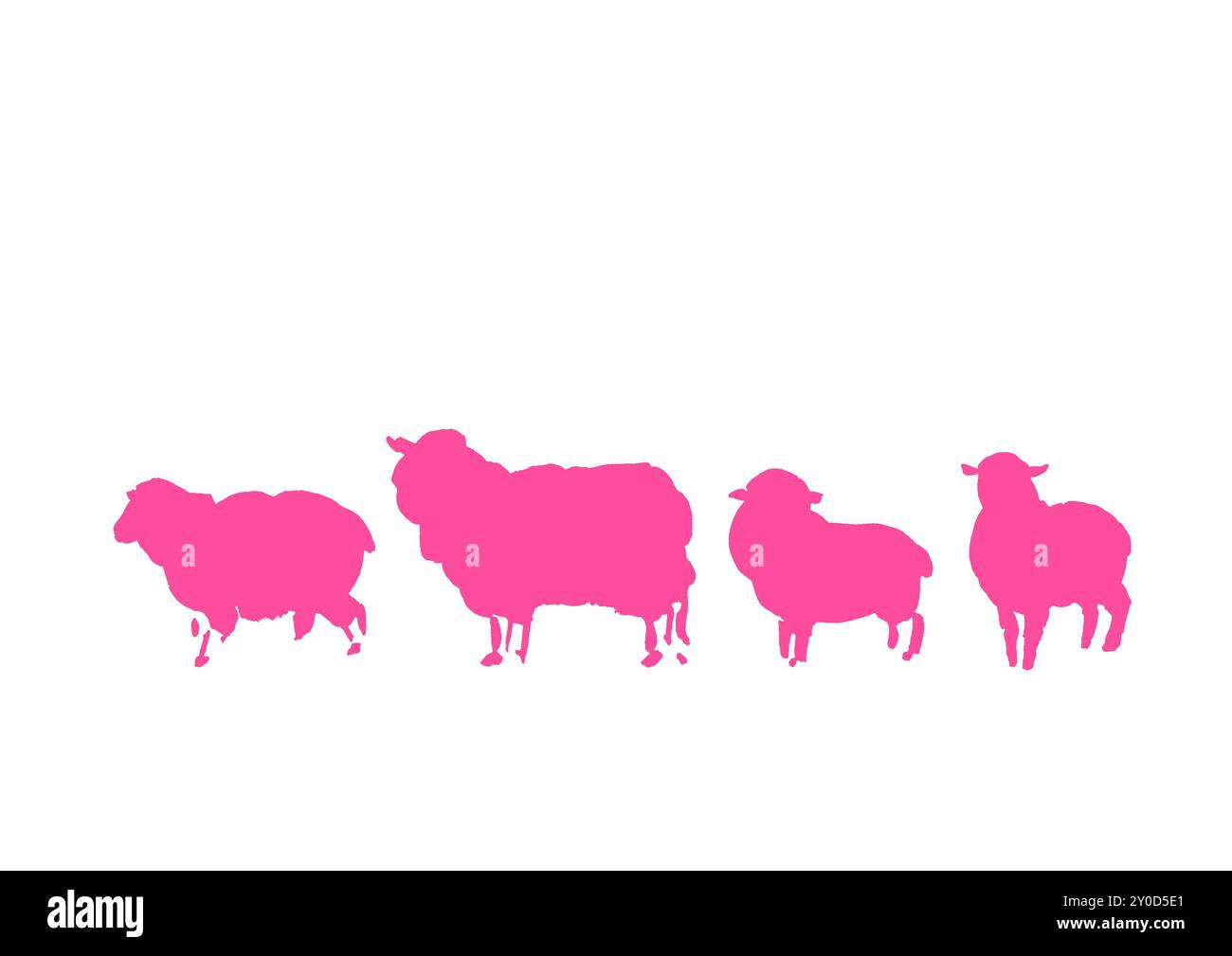 Four plain pink sheep Stock Photo - Alamy