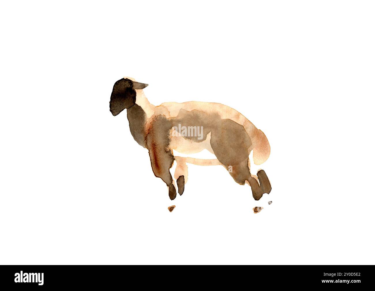 A plain sheep looking left and standing Stock Photo - Alamy