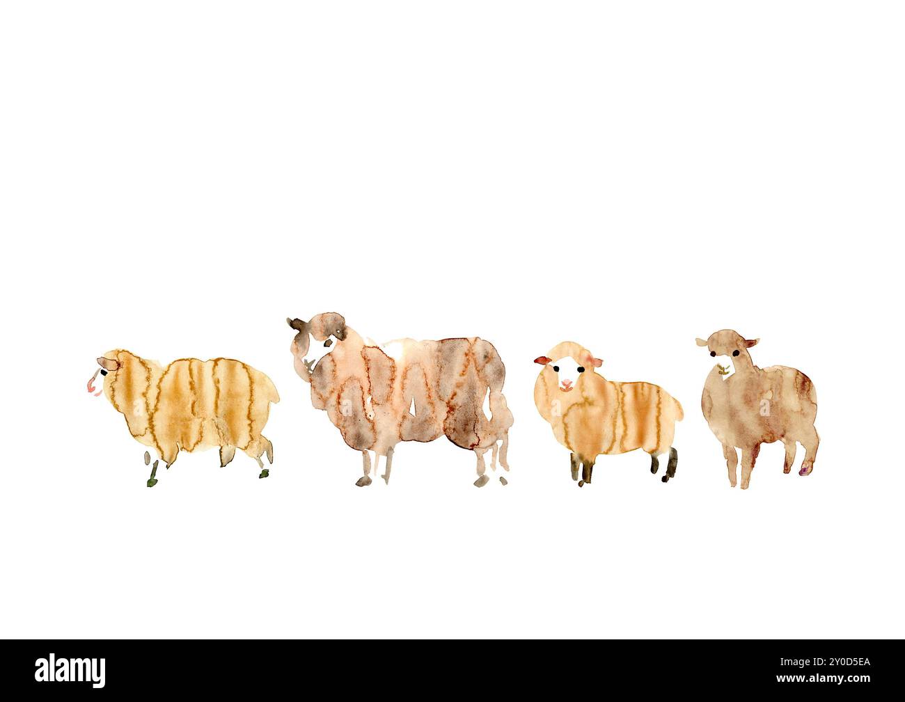Four plain sheep Stock Photo - Alamy