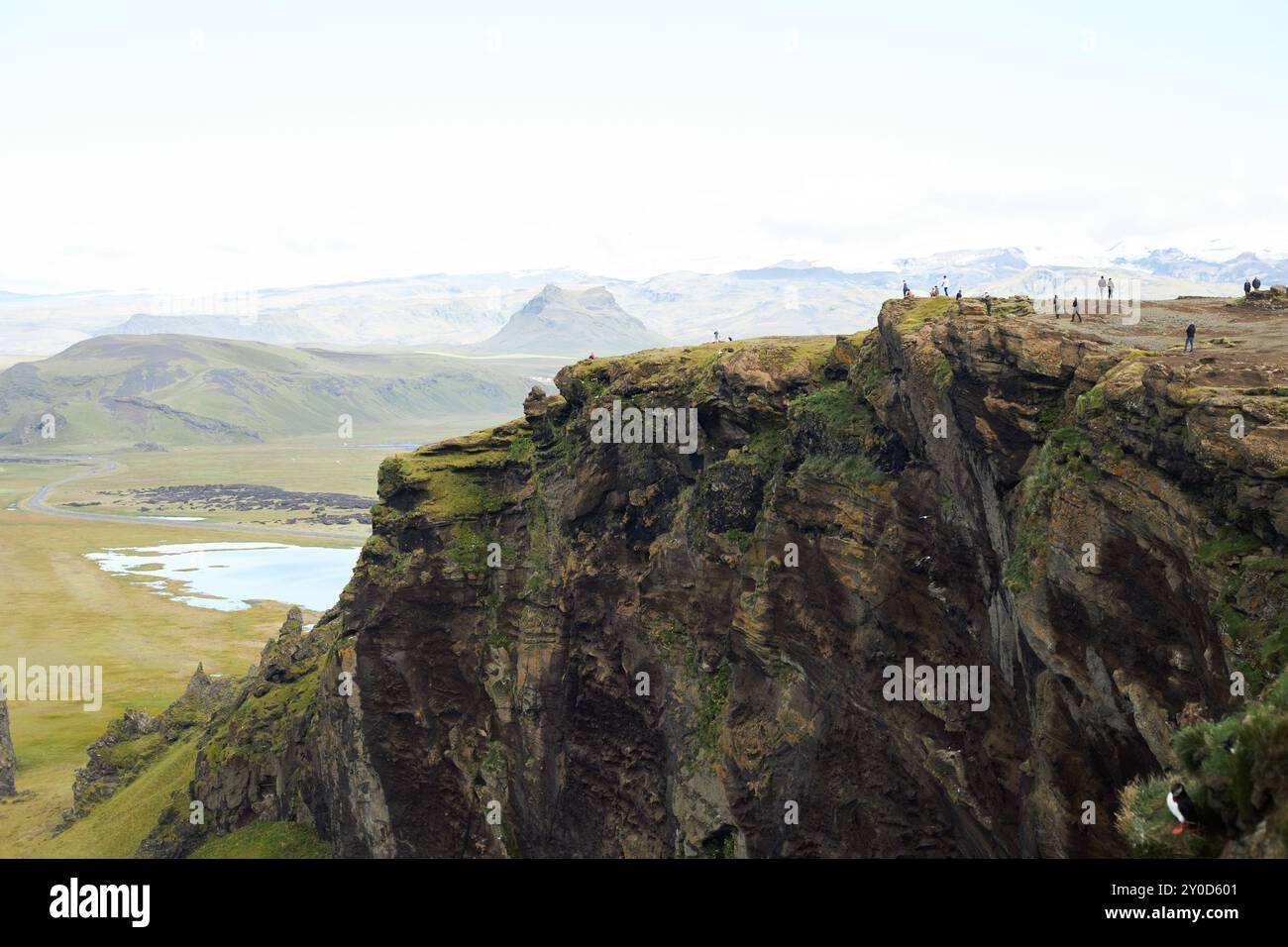 Coastal Cliffs of Iceland Overlooking the Black Sand Beaches and the ...