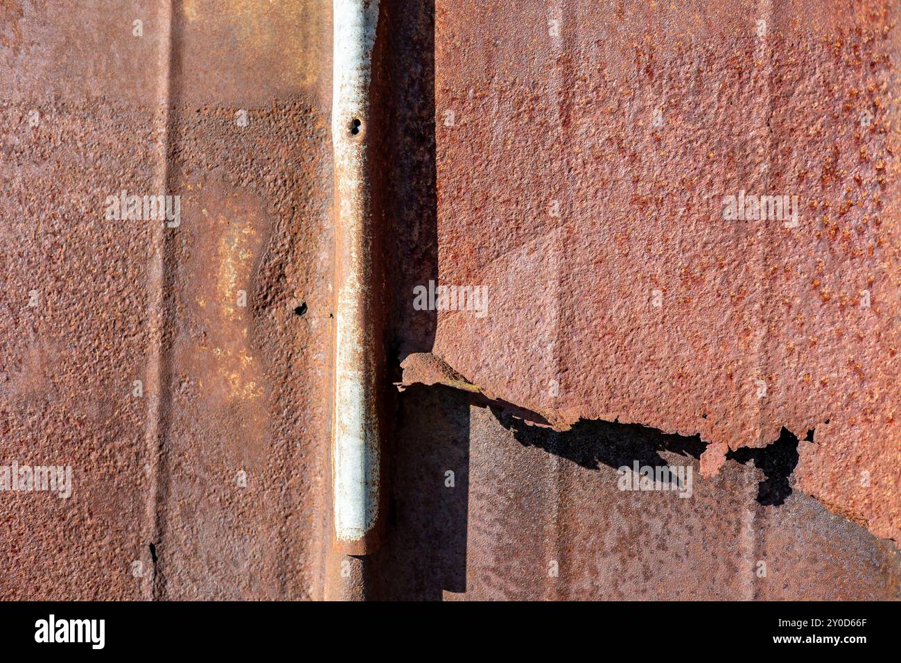 A rusted nail protrudes from an aged, weathered metal surface that ...
