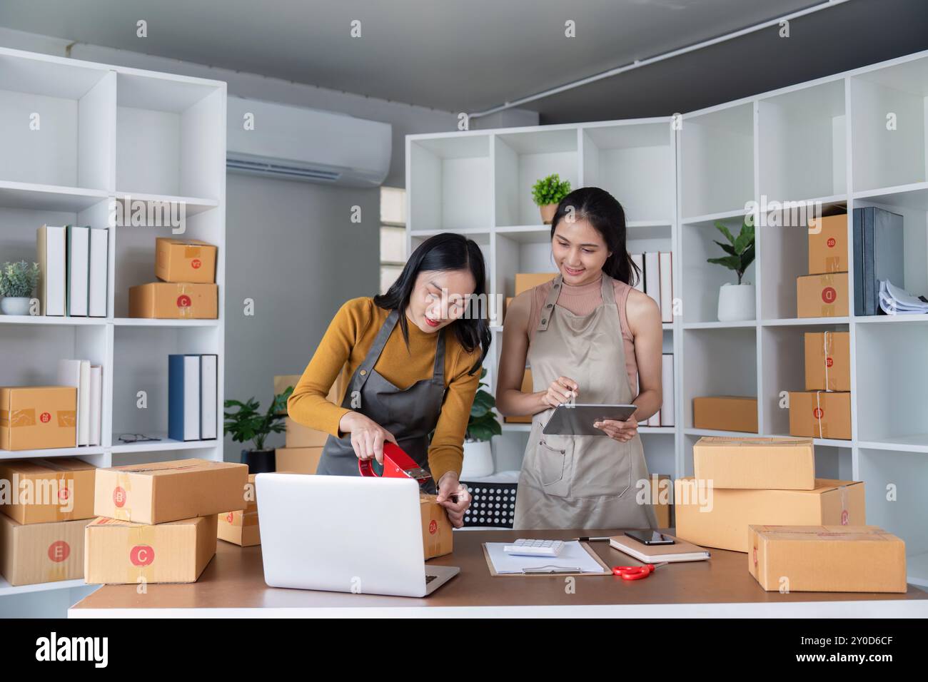 Women organizing and managing ecommerce package logistics Stock Photo ...