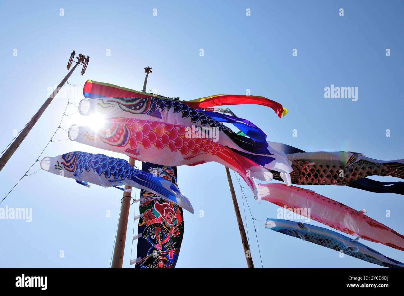 Low carp hi-res stock photography and images - Alamy