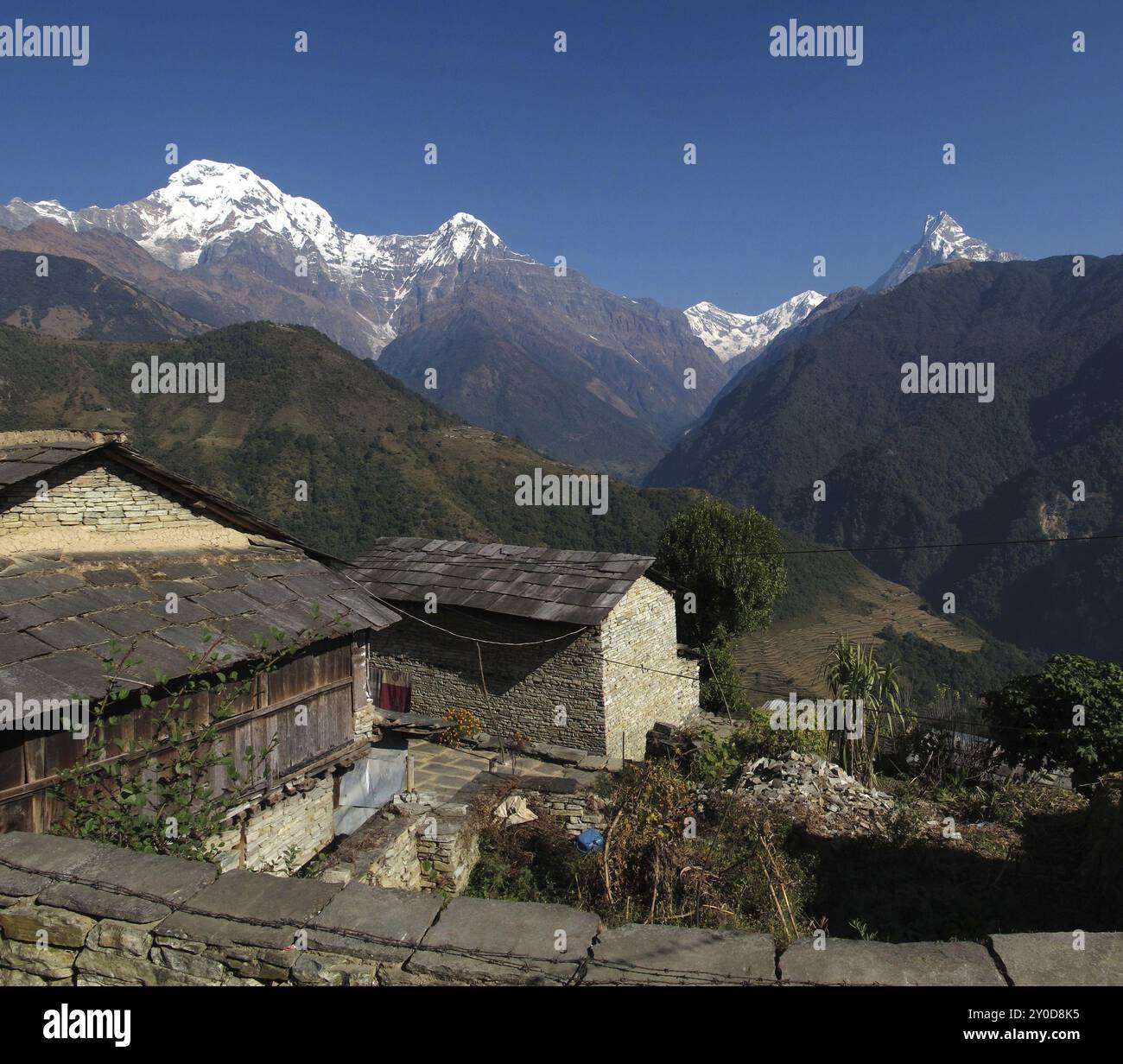 View from Ghandruk, famous Gurung village in Nepal Stock Photo - Alamy