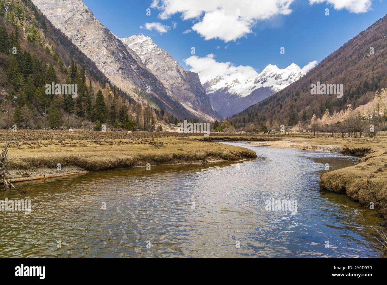 Beautiful landscape at Siguniang National Park in Sichuan, China, Asia ...