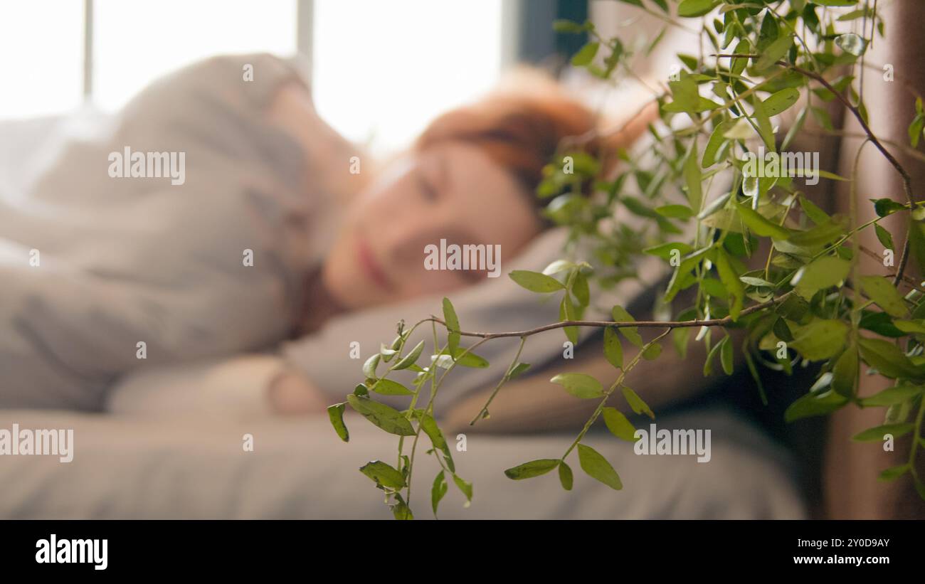 Close up Caucasian girl sleeping napping sleepy beautiful woman waking ...