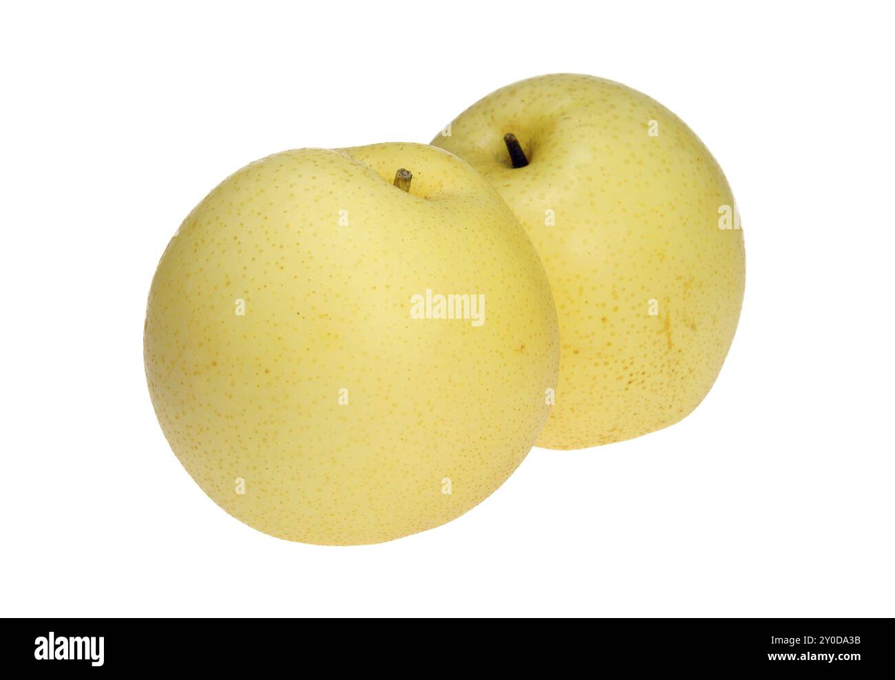 Nashi people hi-res stock photography and images - Alamy