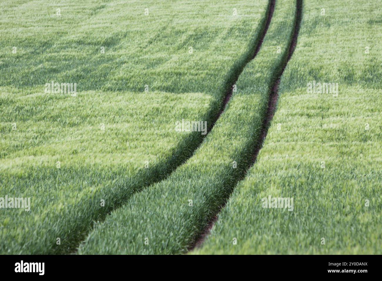 Pastures traces hi-res stock photography and images - Alamy