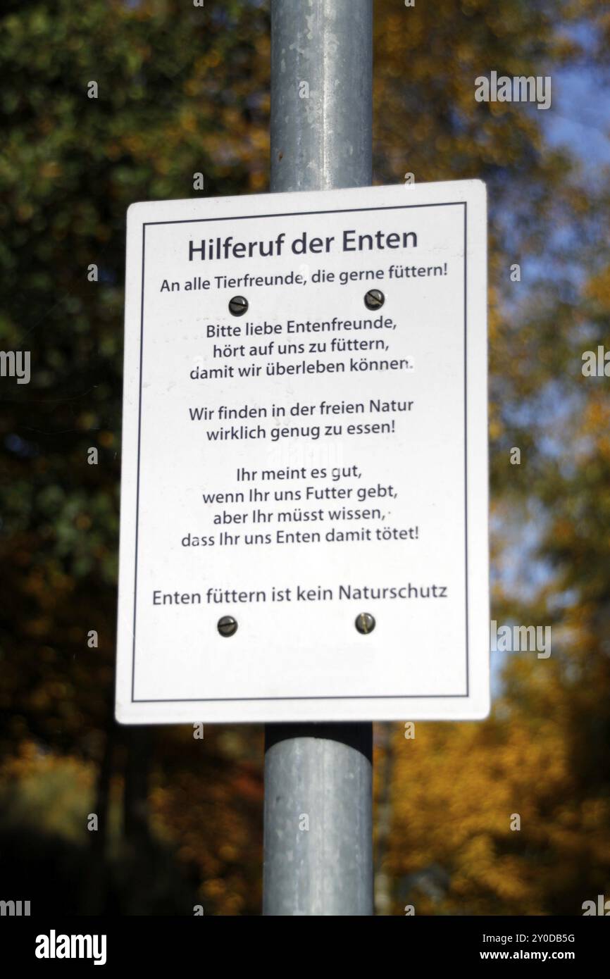 Help ducks hi-res stock photography and images - Alamy