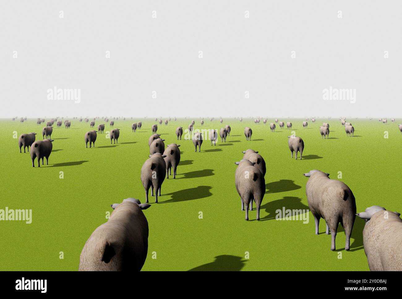 A group of sheep Stock Photo - Alamy