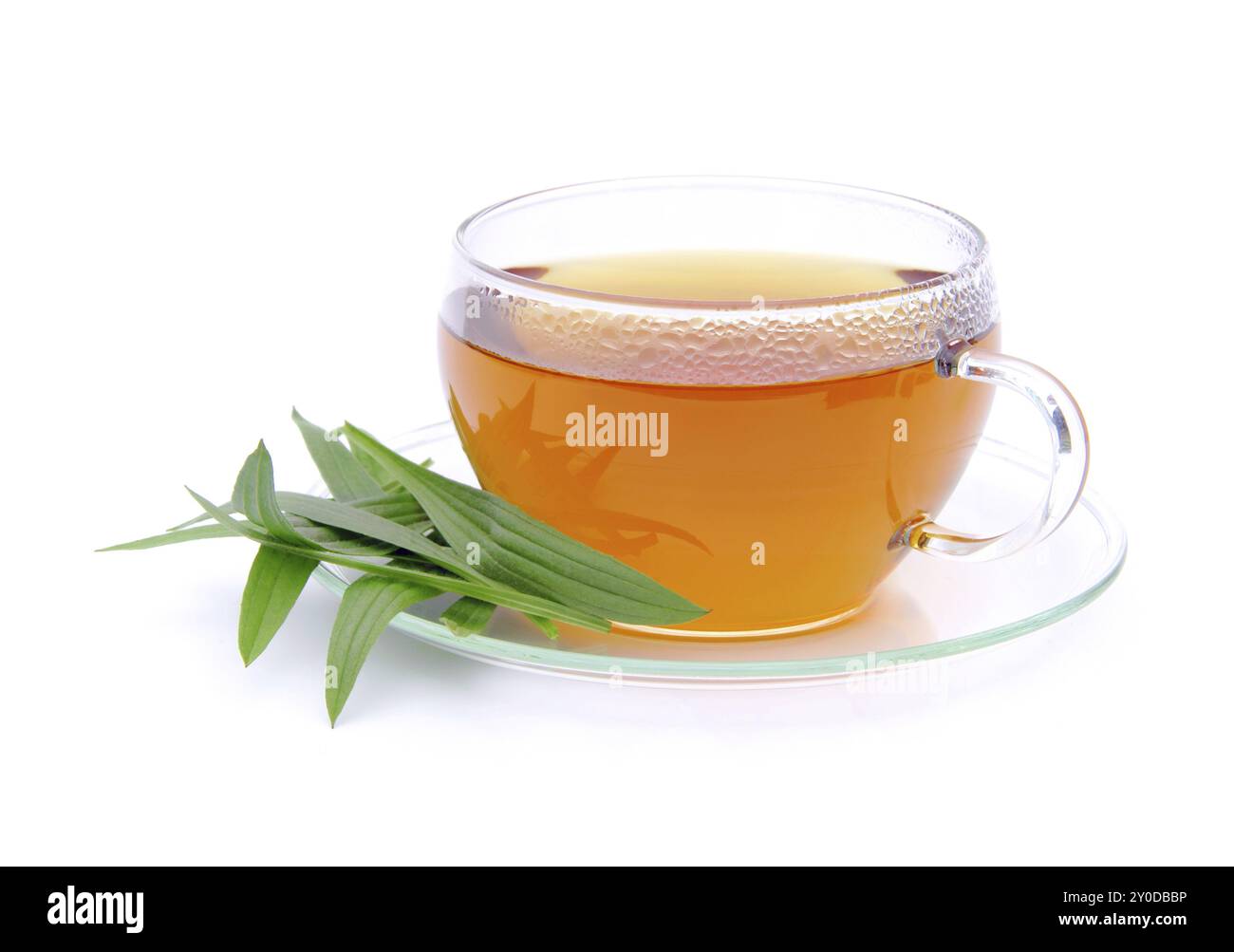 Ribwort plantain blossom plantago lanceolata Cut Out Stock Images ...