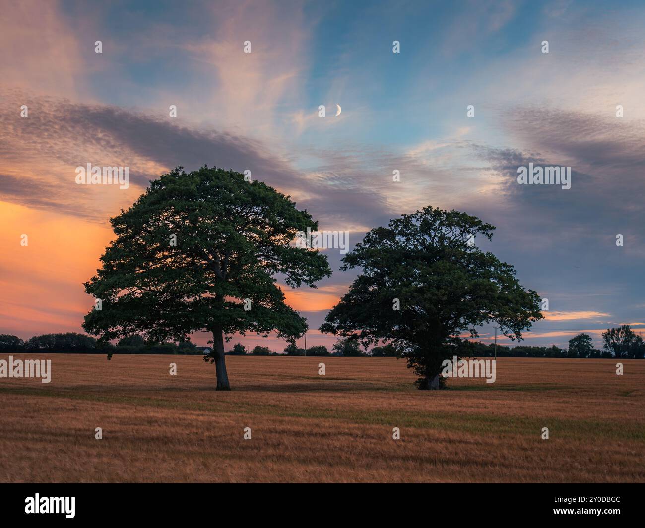Crescent moon over two trees in Balheary on a warm August evening Stock ...