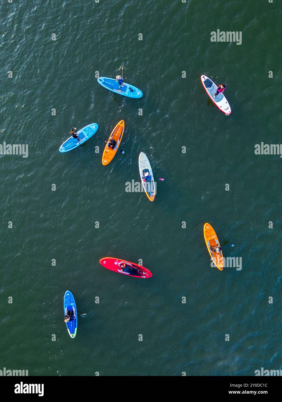 Top down view of paddleboarders at the Malahide Estuary organised by ...