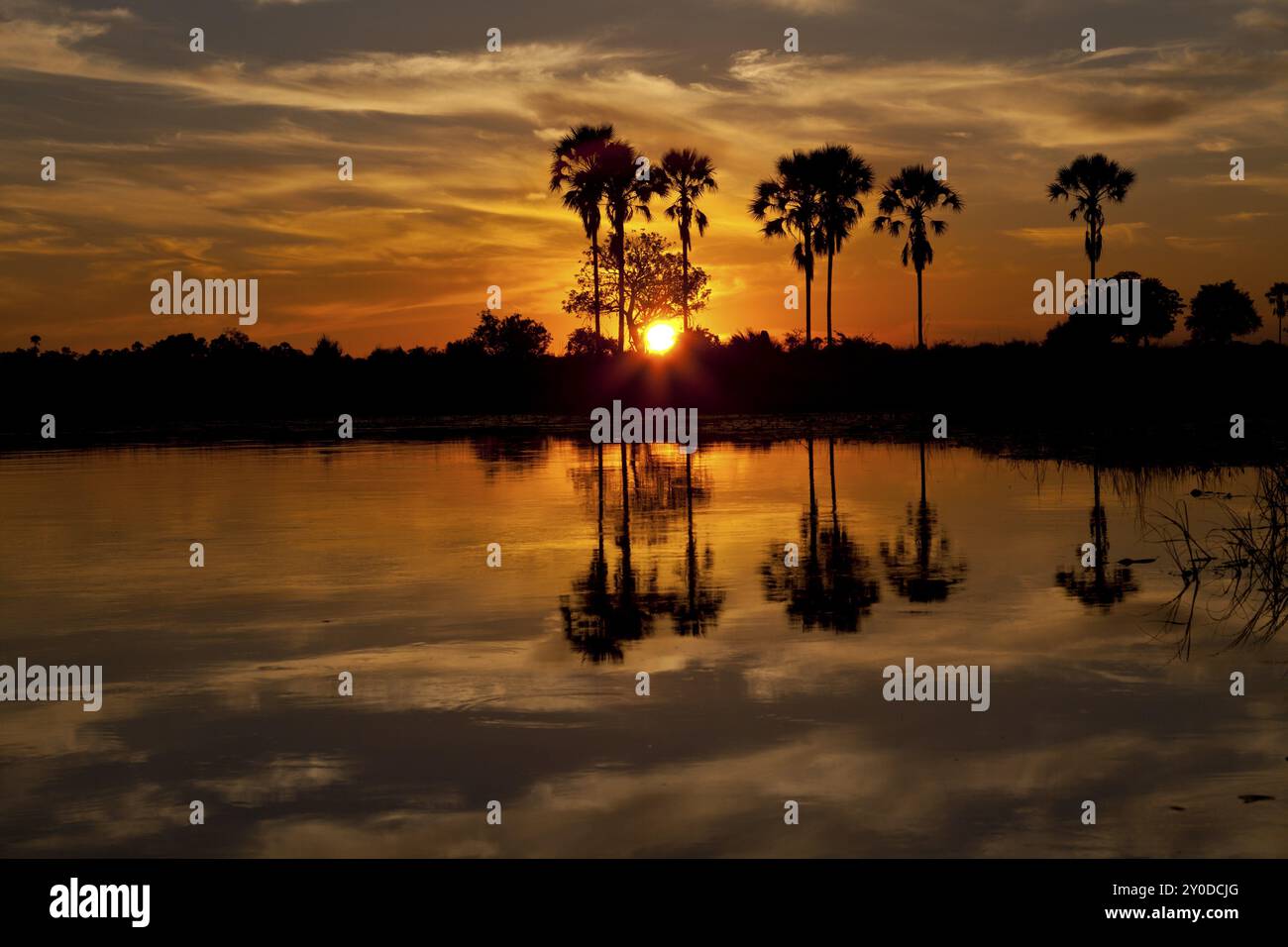 Sunset over the Okavango Delta in Botswana Stock Photo - Alamy
