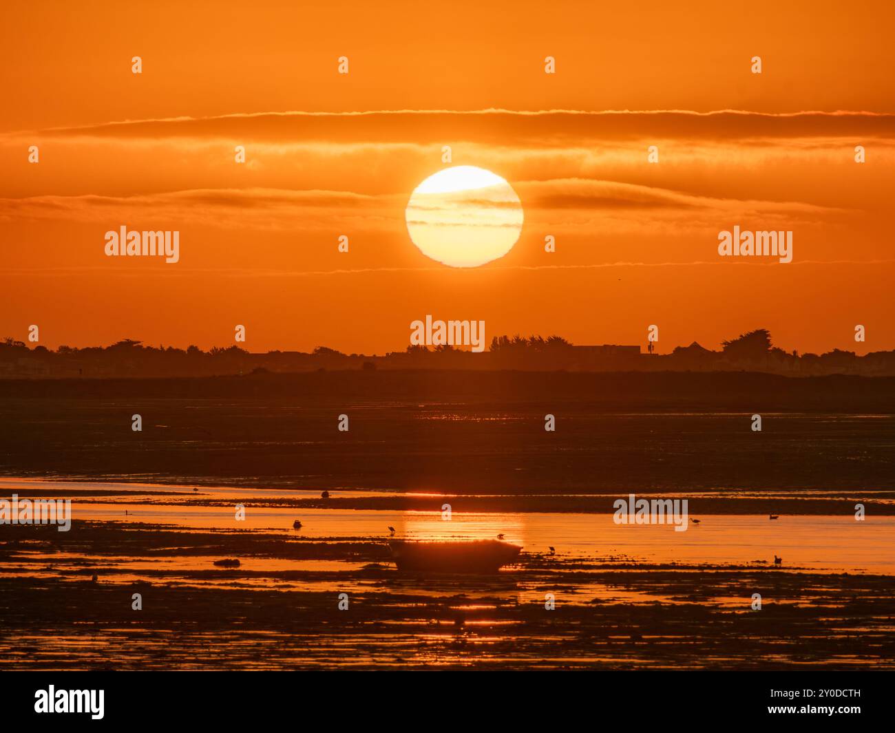 Sunrise over a low tide Bull Island Stock Photo - Alamy