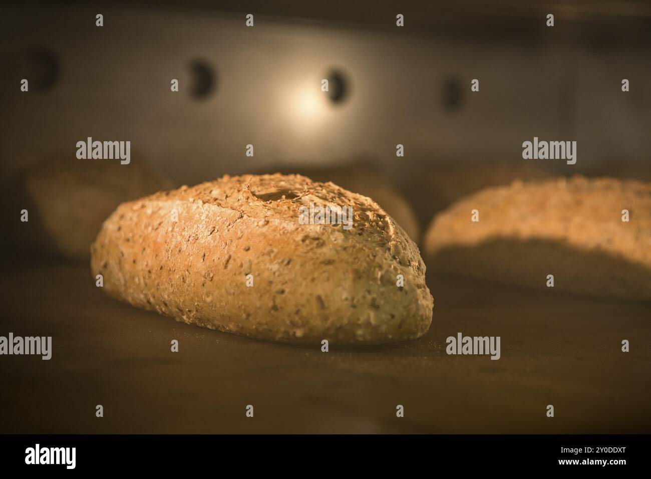 Some bread inside an industrial oven after cooking Stock Photo - Alamy