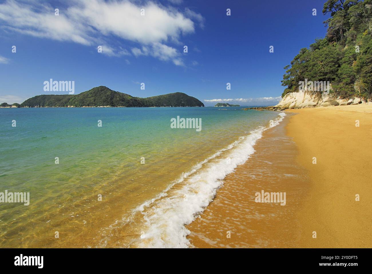 Sandy beach beach, Abel Tasman National Park, Tasman Sea, Nelson Region, South Island New ...