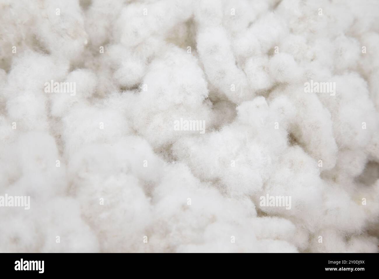 Up close view cotton hi-res stock photography and images - Alamy