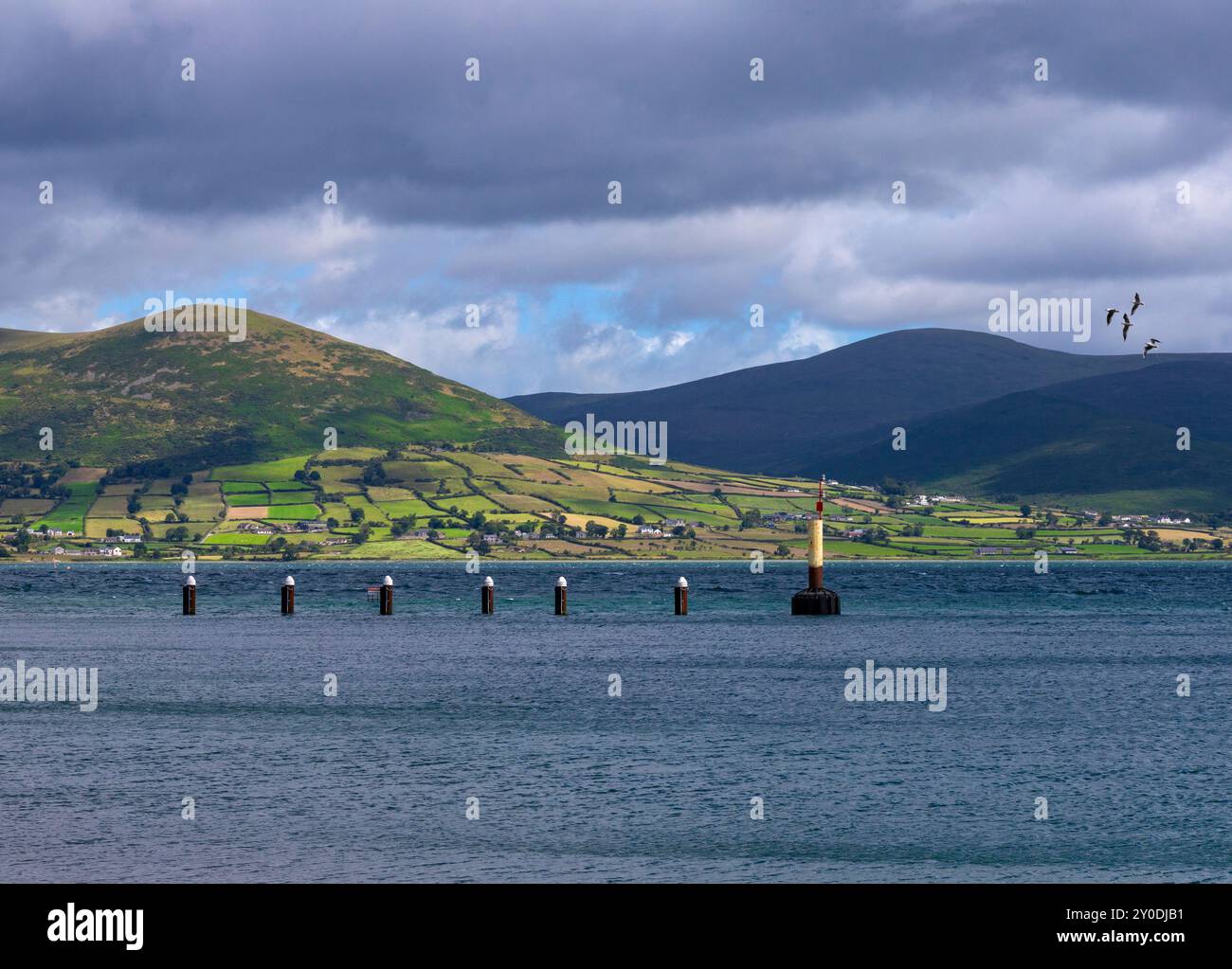 Marine guide posts at Greenoreport terminal for Carlingford Lough Ferry ...