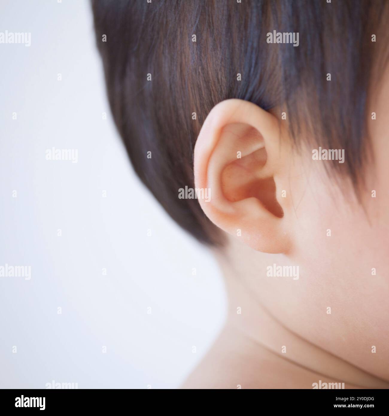 A baby's ears Stock Photo - Alamy