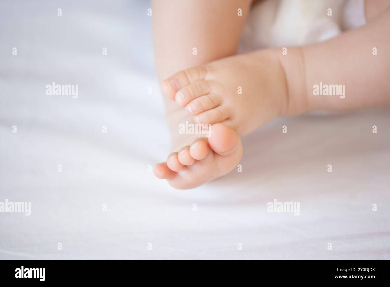 A baby's legs Stock Photo - Alamy