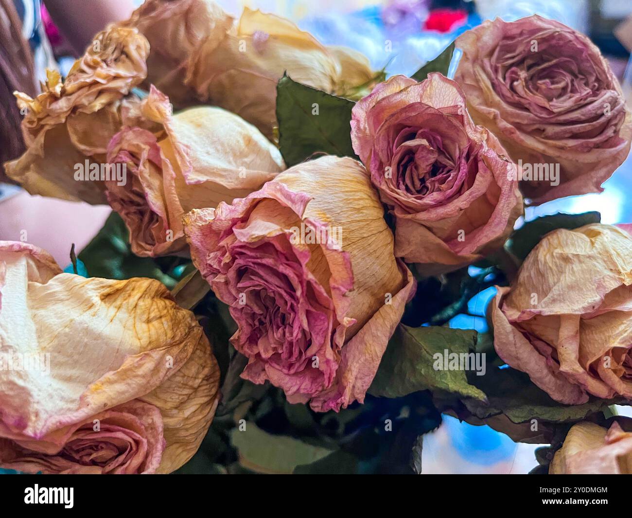 Grain bouquets hi-res stock photography and images - Alamy