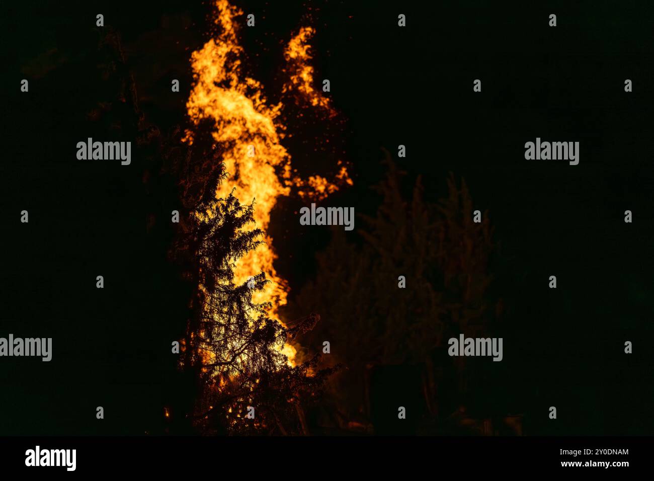 The Night of Ancient Bonfires. The texture of a natural fire. Big ...