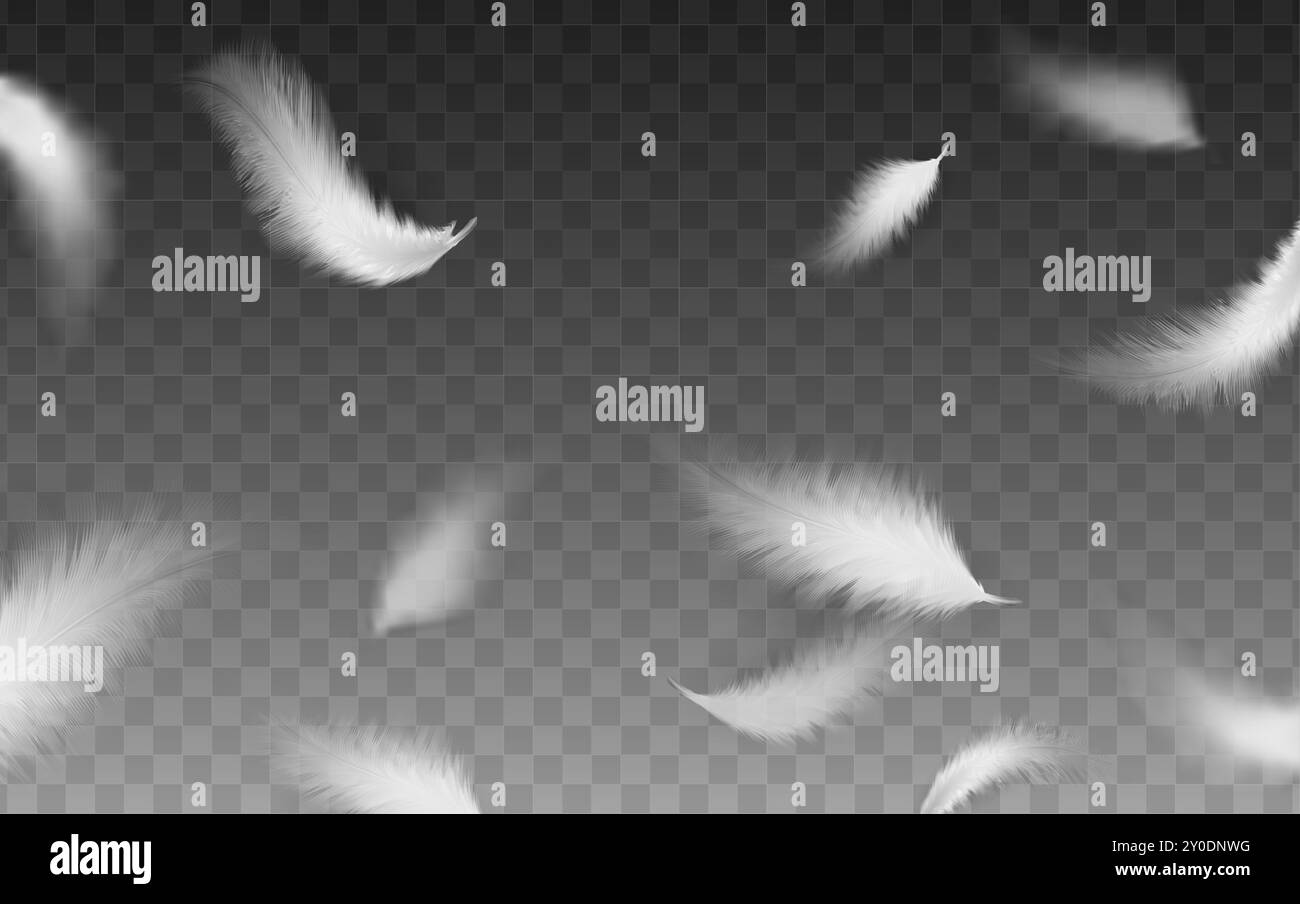 3d realistic illustration. Flying white feathers on transparent ...
