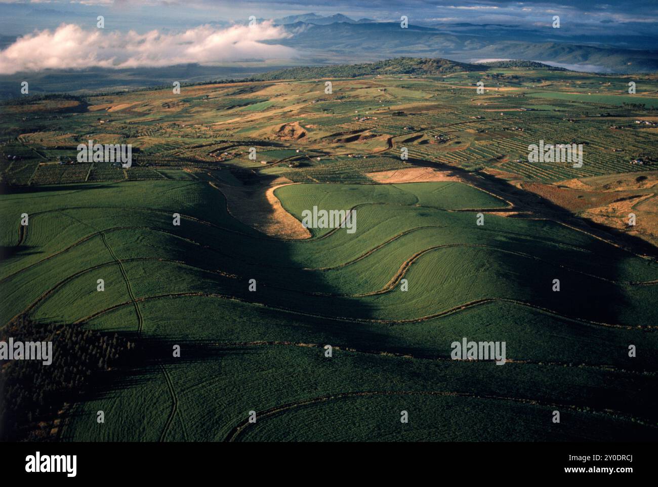 Timau and Mt. Kenya Stock Photo - Alamy