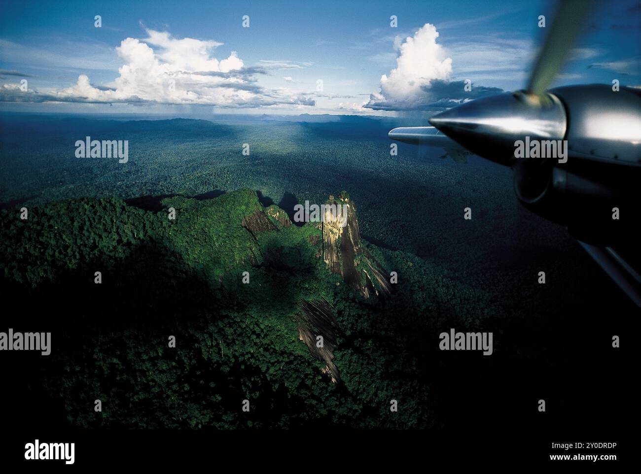 Aerial view of Suriname forest, Surina, South America Stock Photo - Alamy