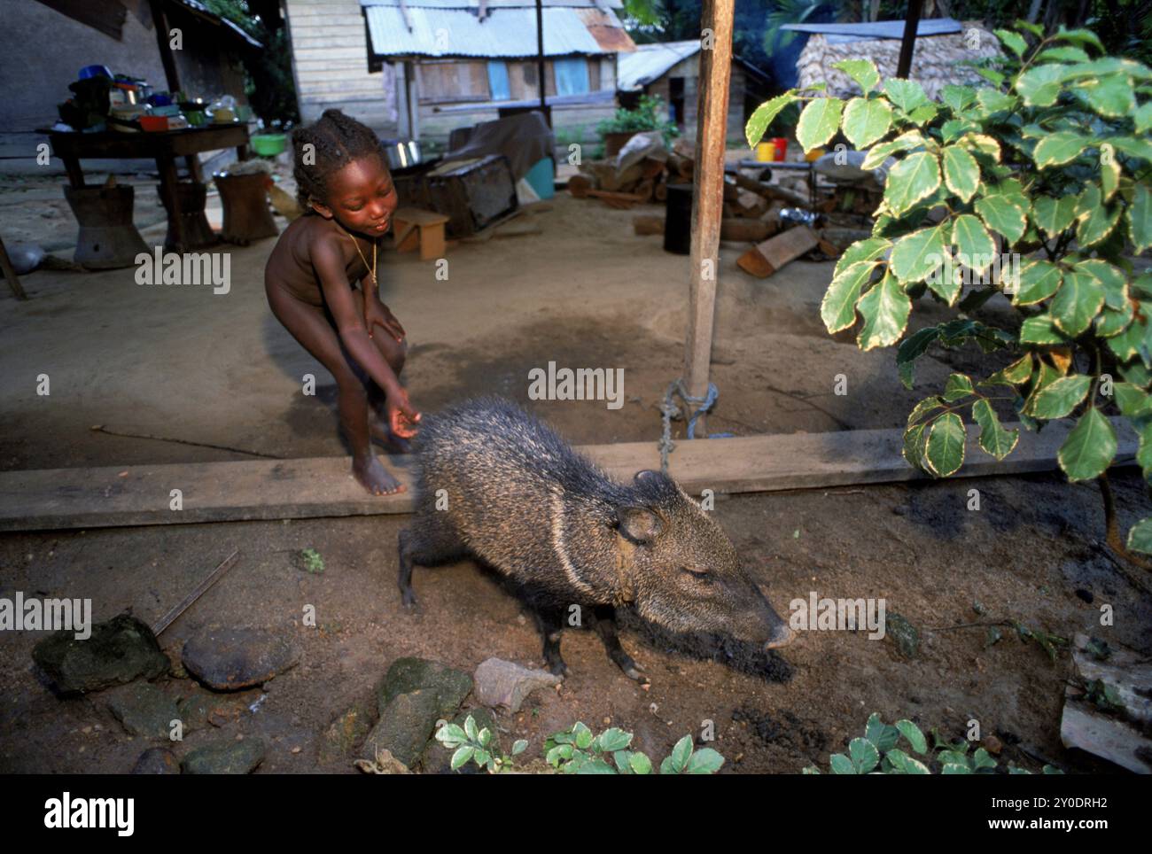 Maroon People, Suriname Stock Photo - Alamy