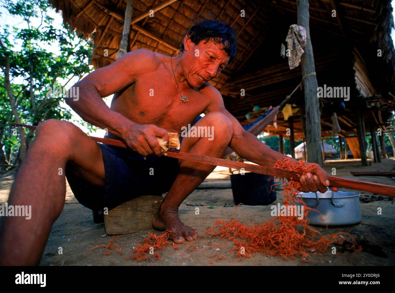 Tirio Indian making a bow, Suriname Stock Photo - Alamy