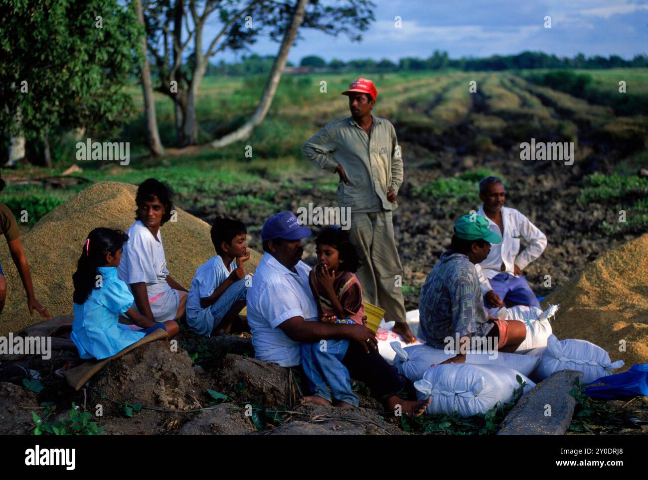 Suriname farm hi-res stock photography and images - Alamy